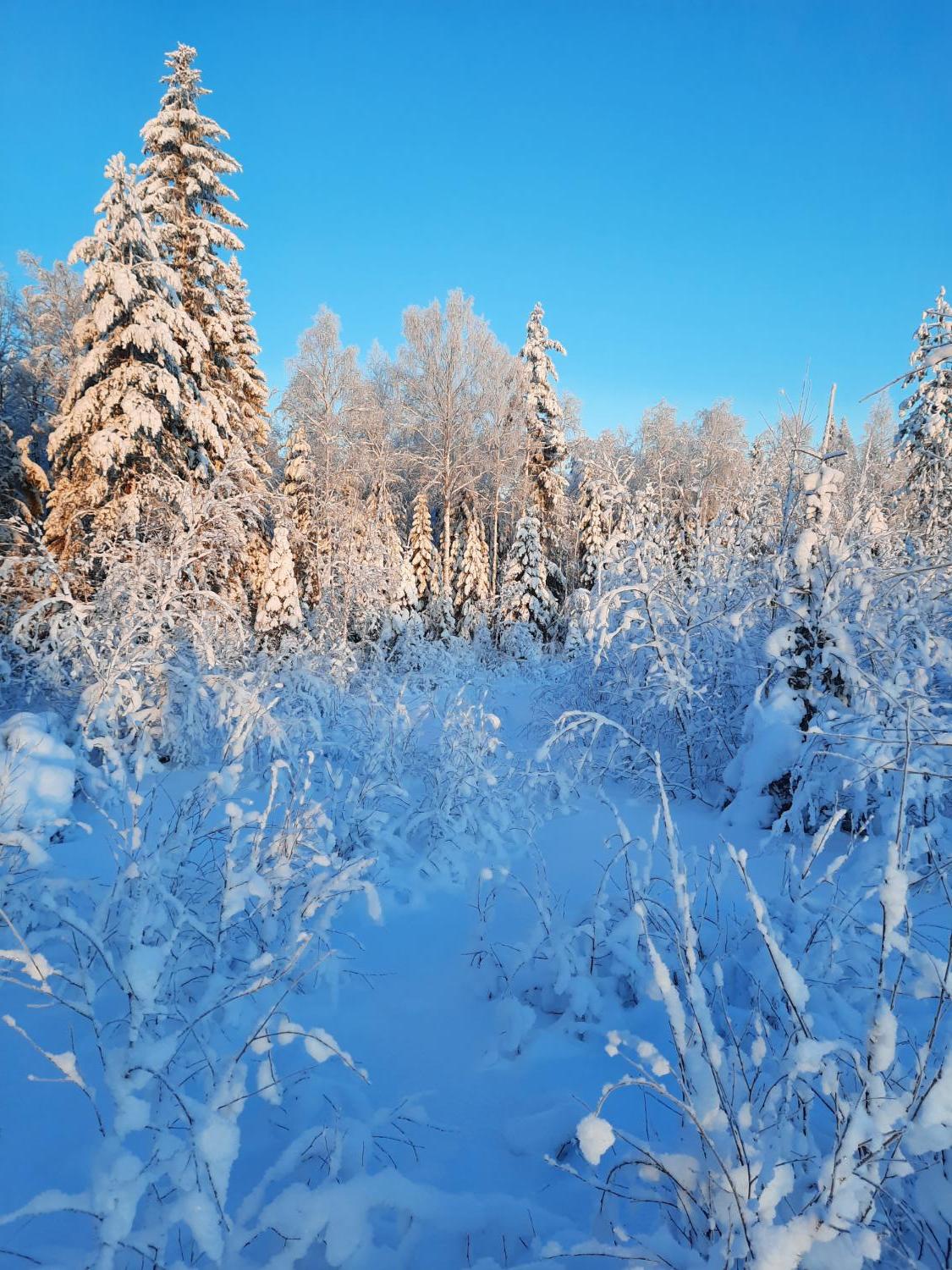 iisak (1500 m 4:40) - Page 53 - Jäsenten harjoituspäiväkirjat ...