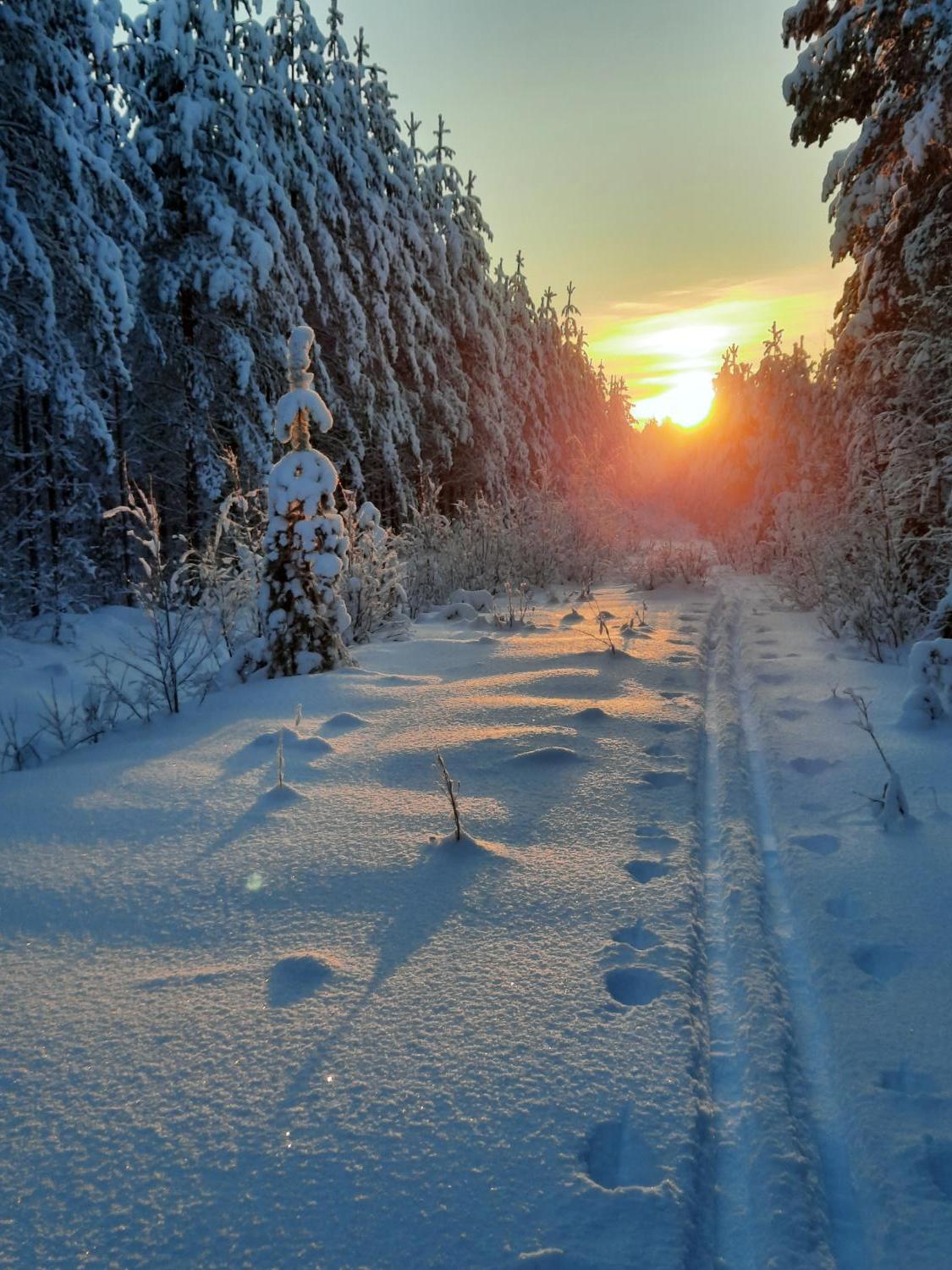 iisak (1500 m 4:40) - Page 53 - Jäsenten harjoituspäiväkirjat ...